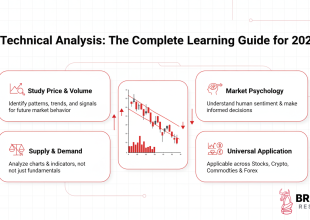 Technical Analysis Archives - Bravos Research